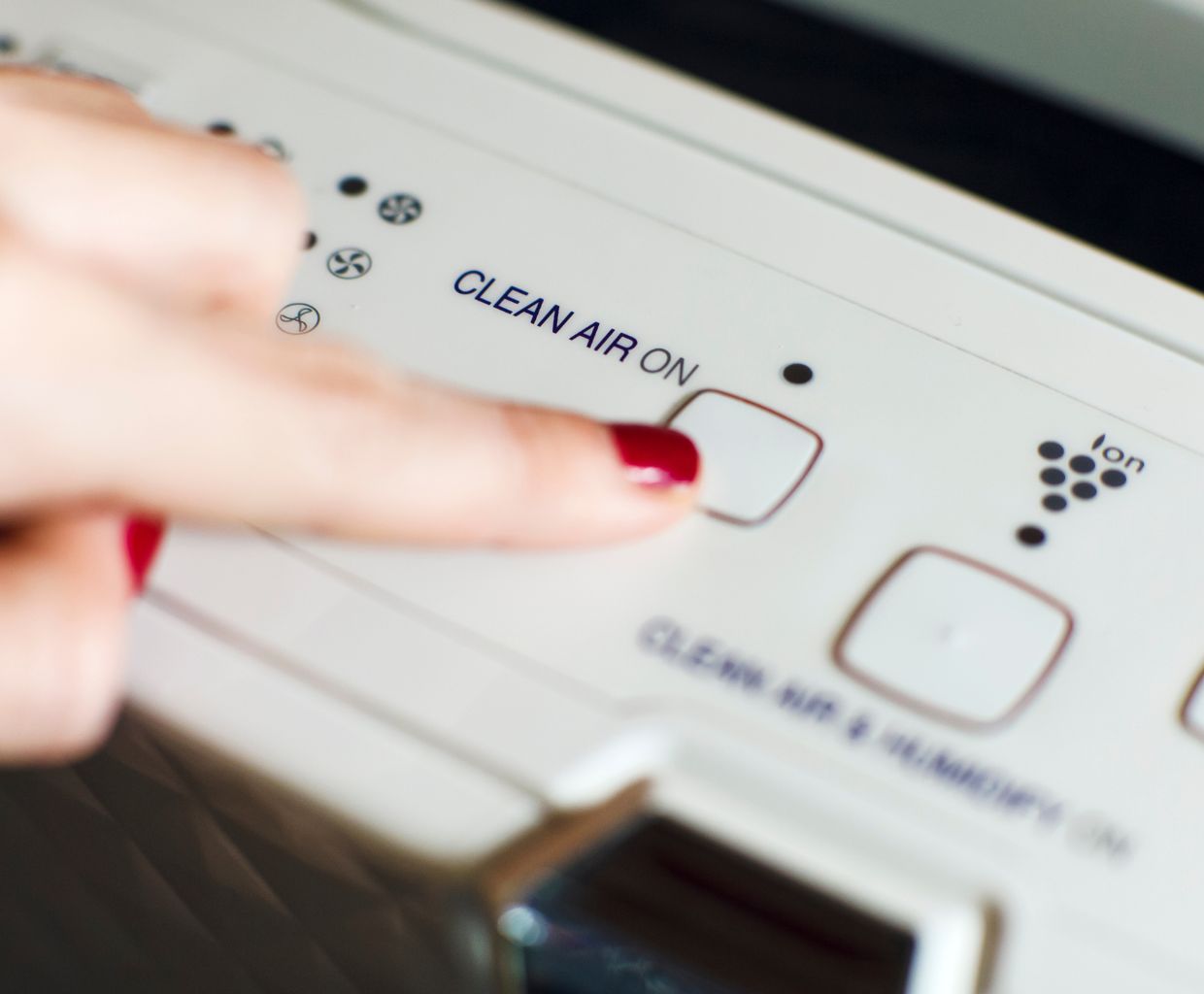 2024 Top 6 Best Air Purifier for Basement Reviews